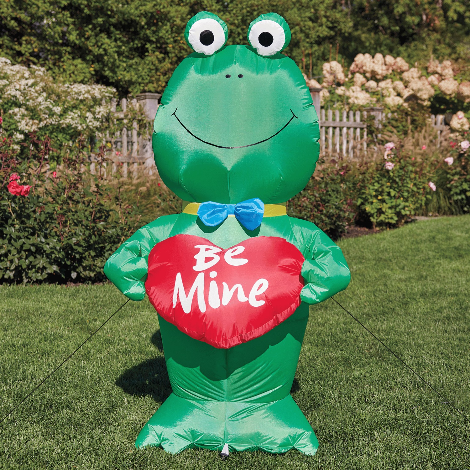 Lit Valentine Frog Inflatable | Swiss Colony