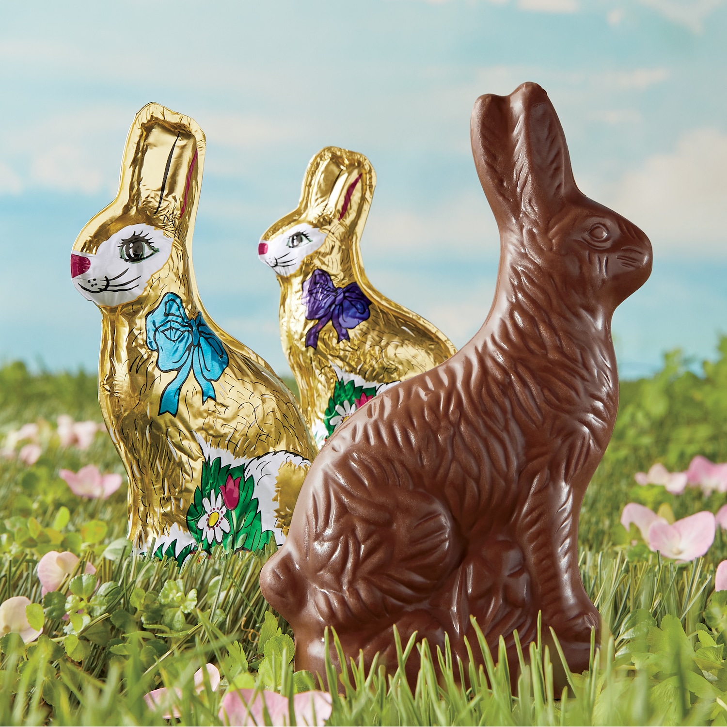 rabbit chocolate